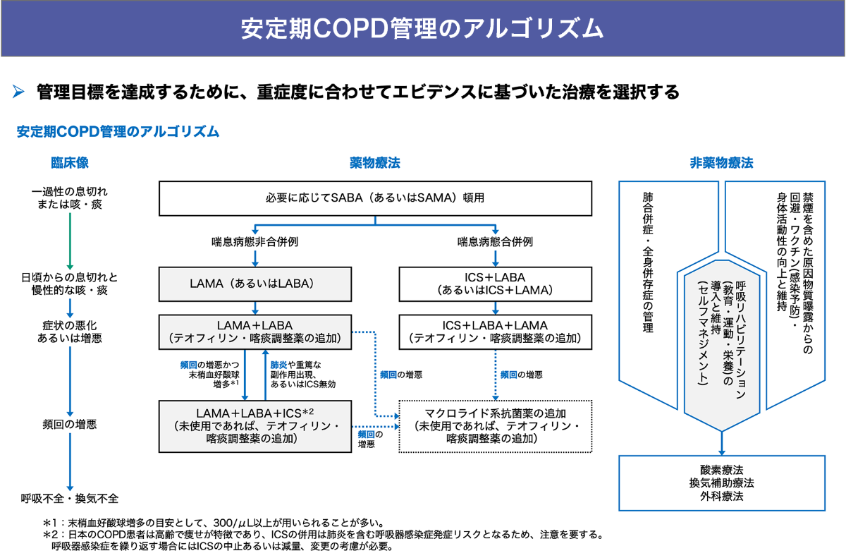 COPD Up to Date # 3 : Treatable traitsに沿った治療戦略 | サノフィ